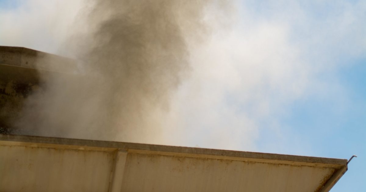 Biting the dust • Norman Waterhouse